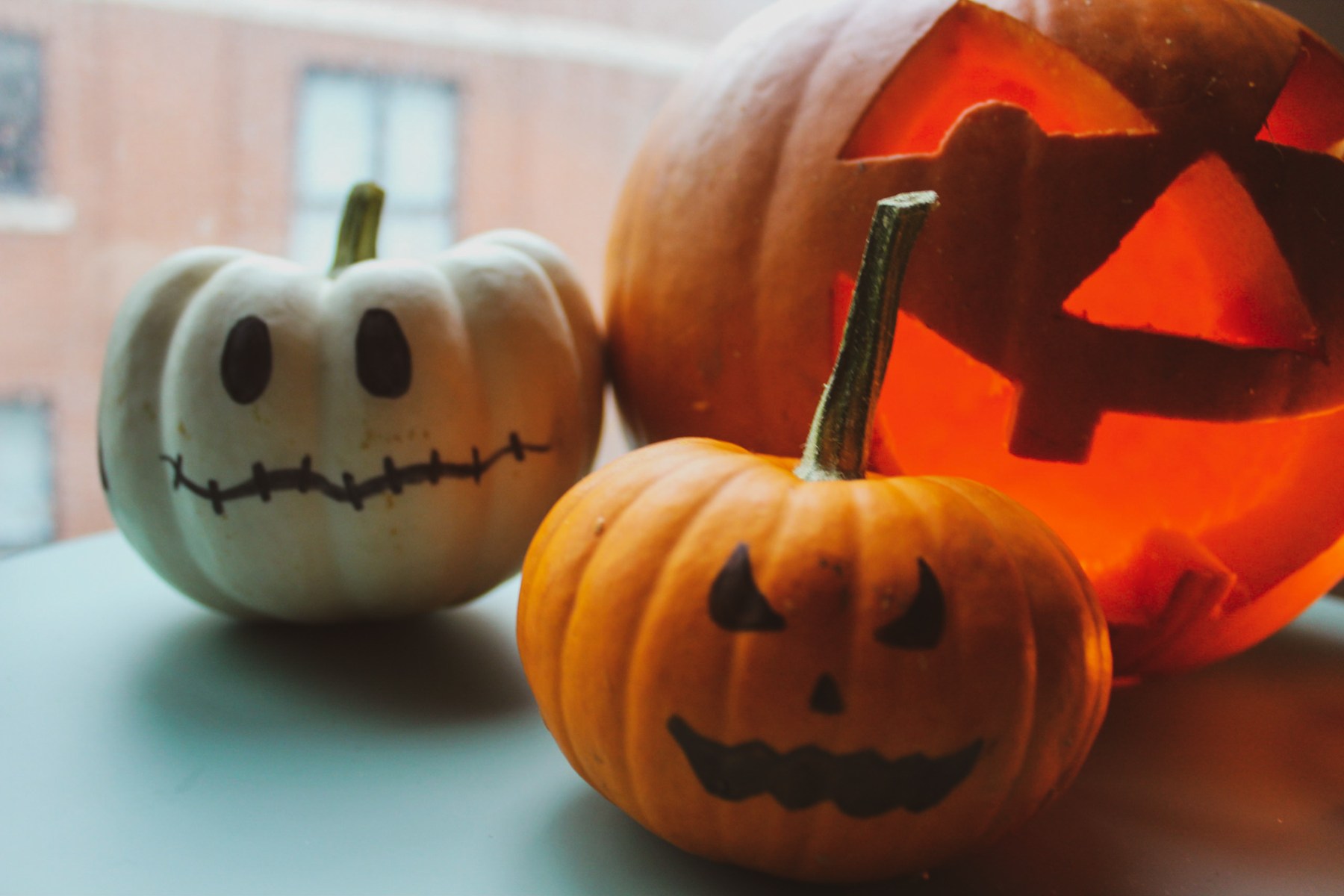 Carving my pumpkins + 3 Ways to reuse pumpkin guts – Willow in Winter